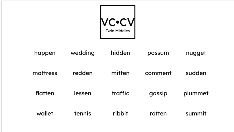 Orton-Gillingham Printable Phonics Lesson: VC•CV Twin Middles – Aligned ...